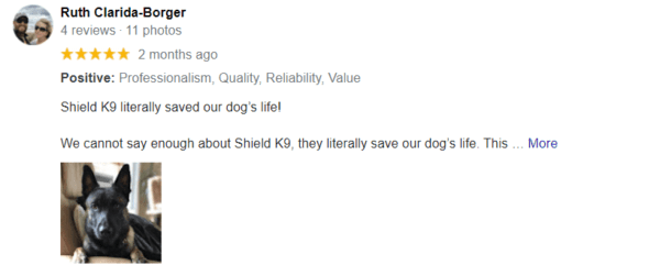 Shield K9 Online Store | Shield K9