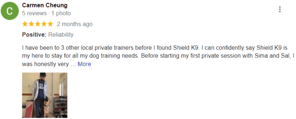 Guard Dogs | SHIELD K9 DOG TRAINING