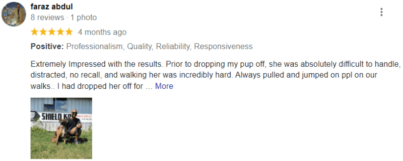 Protection Dog Training Program | SHIELD K9 Dog Training