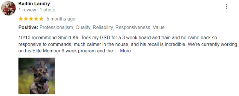 Shield K9 Online Store | Shield K9