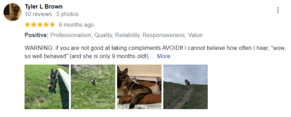 Shield K9 Online Store | Shield K9