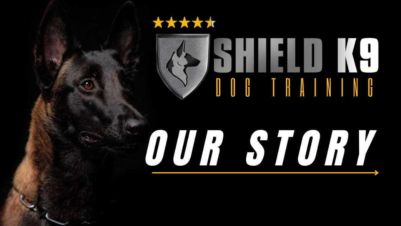 Our Story - Haz Othman and why he started Shield k9 | SHIELD K9 DOG ...