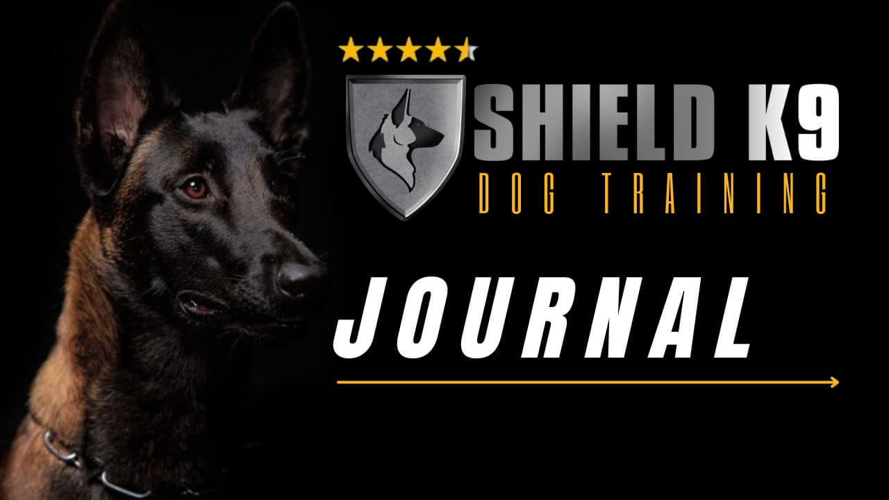 Blog | SHIELD K9 DOG TRAINING