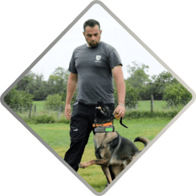 Dog Training - SHIELD K9 DOG TRAINING