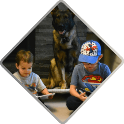 Dog Training - SHIELD K9 DOG TRAINING