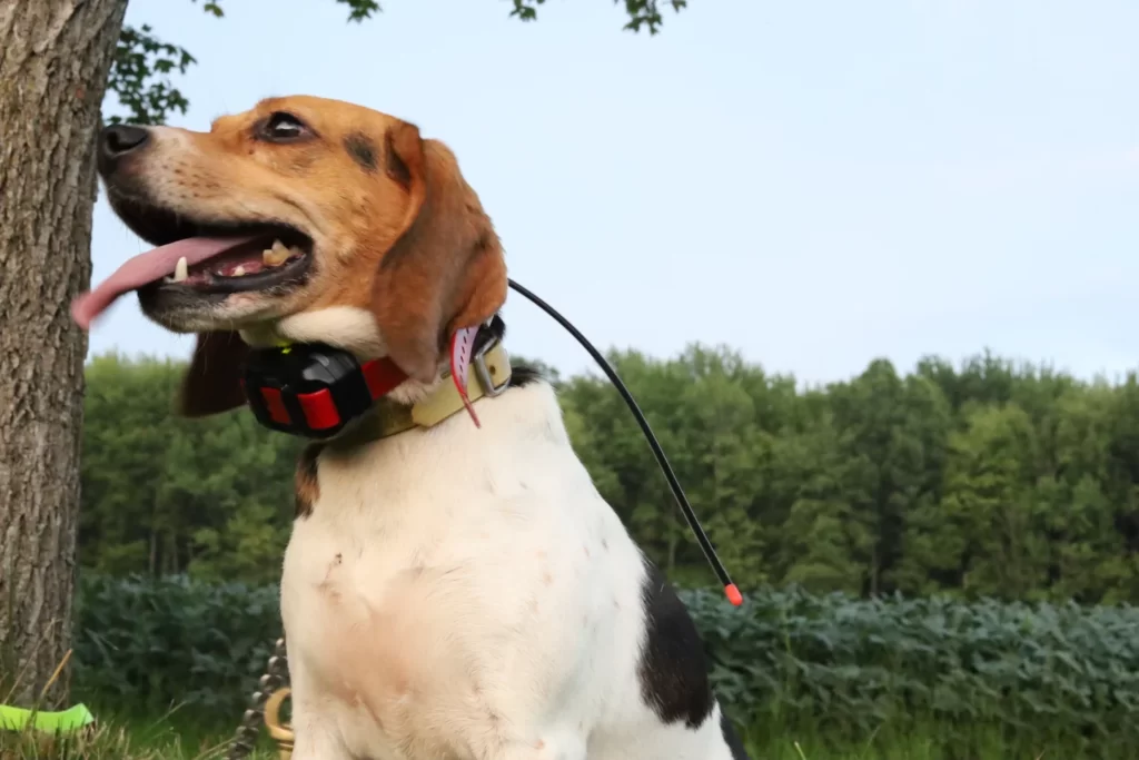 Power Tracking | SHIELD K9 DOG TRAINING